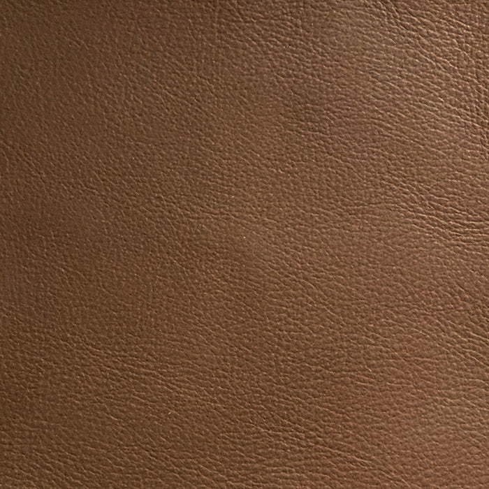 Russet Leather - Free Fabric Swatch | Apt2B
